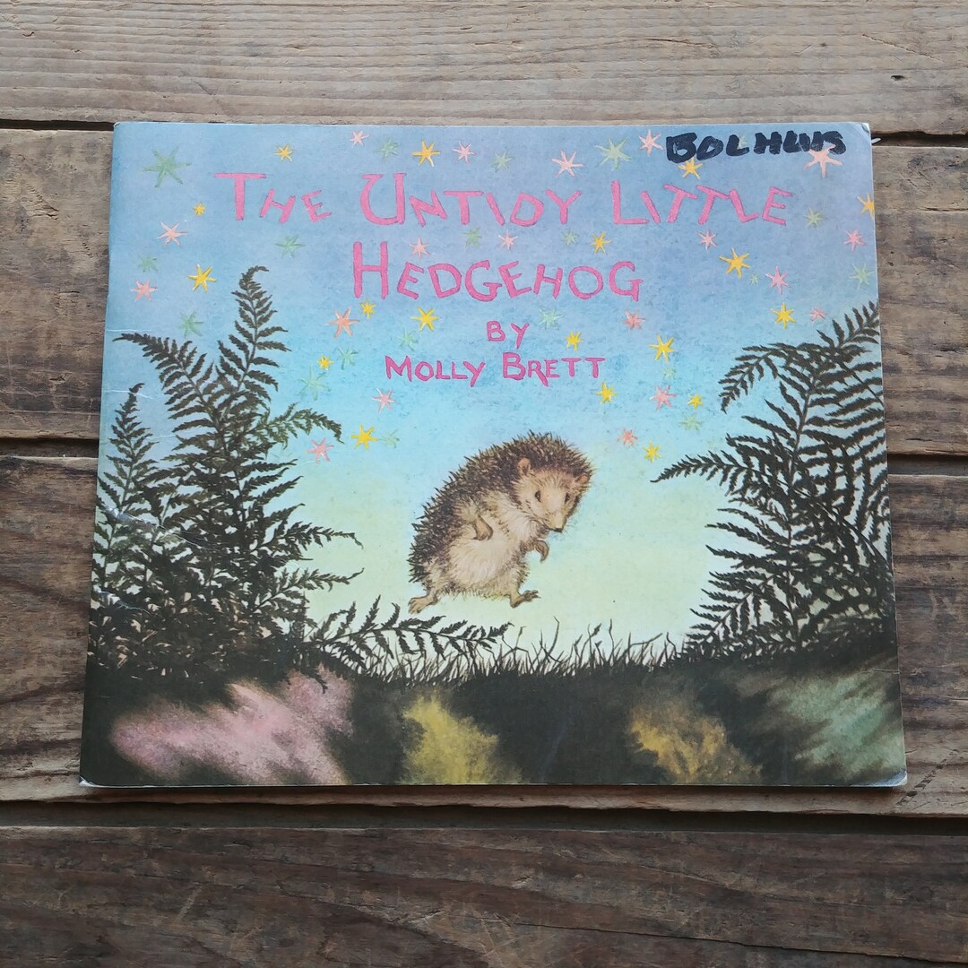 The Untidy Little Hedgehog, A Children's Paperback Book by Molly Brett ...
