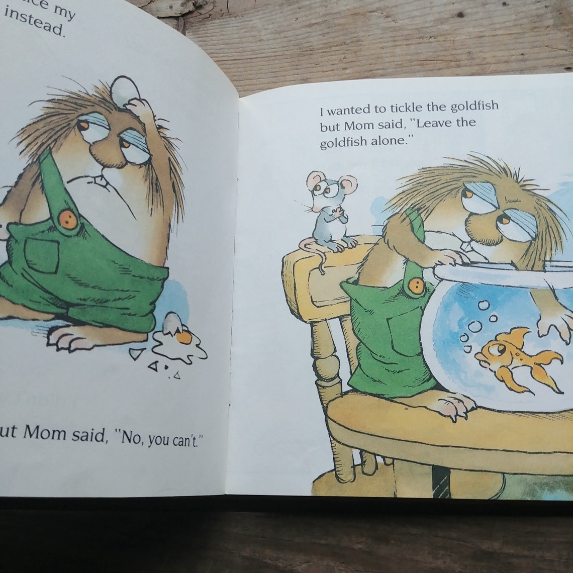 I Was so Mad, a Children's Book by Mercer Mayer, Little Critter Series ...