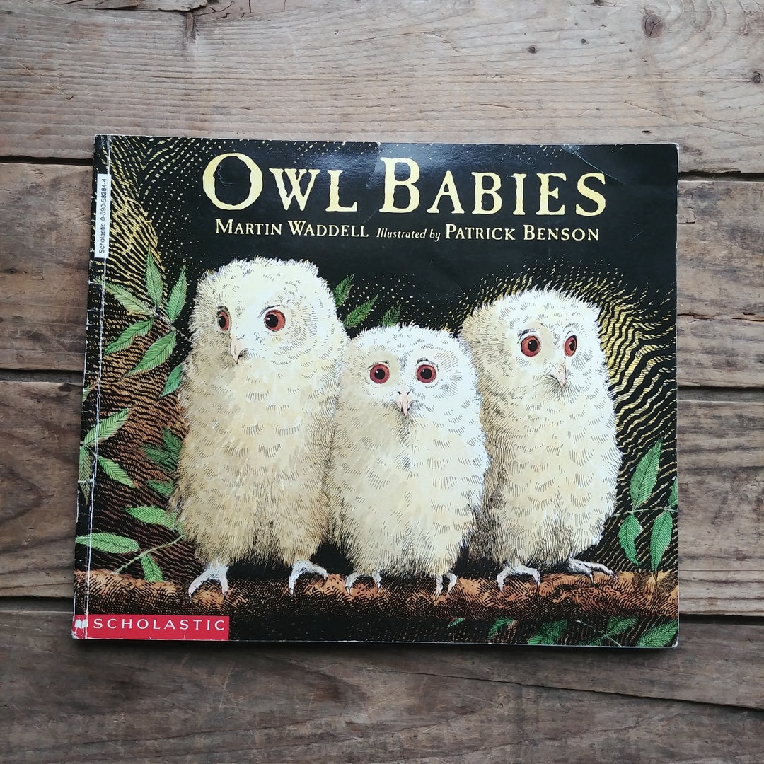 Owl Babies, Children's Paperback Book by Martin Waddell and Patrick ...
