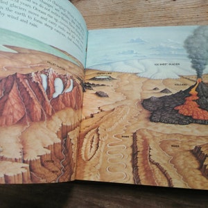 Did You Know Vintage Kid's Paperback Book, Random House Pictureback - Etsy