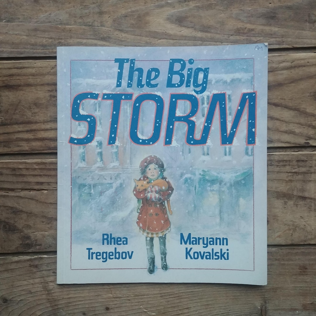 The Big Storm, a Children's Book, Kid's Paperback, Snowstorm Stories ...