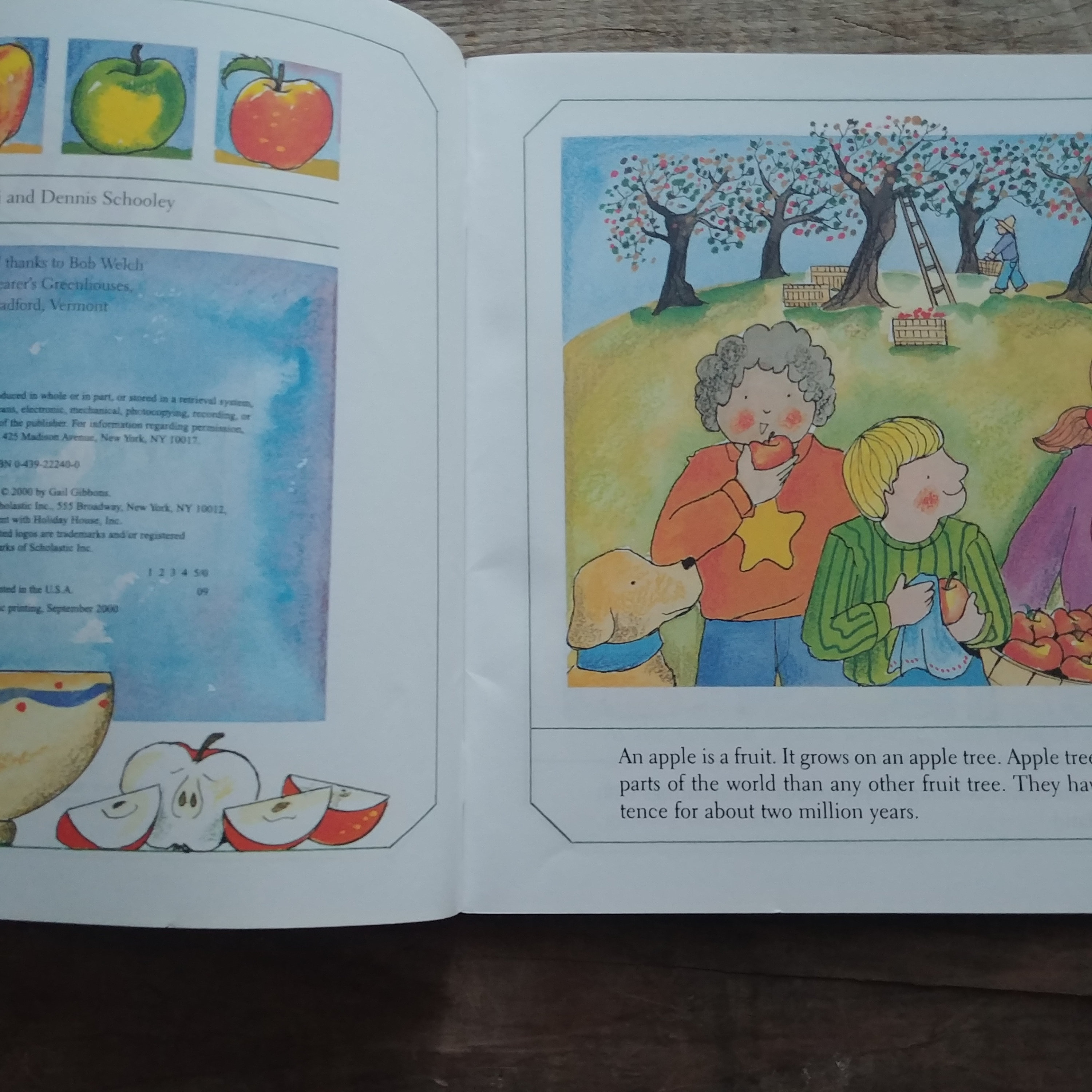 Apples by Gail Gibbons Kid's Paperback Book Scholastic - Etsy UK