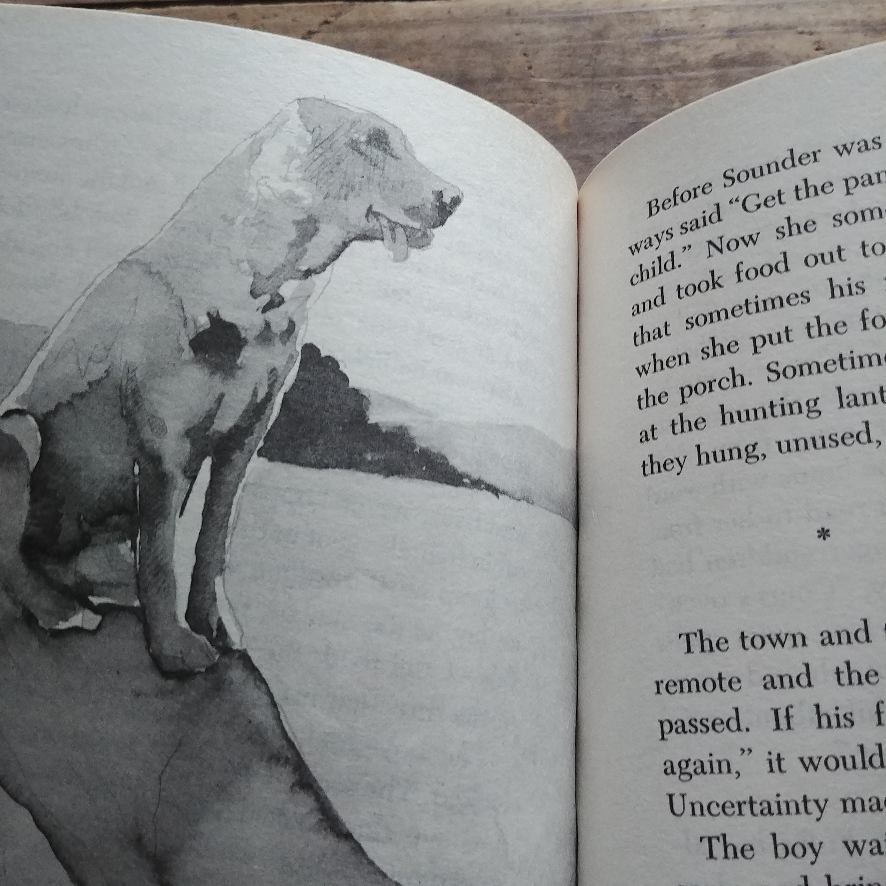 Sounder Vintage Kid's Chapter Book by William H. - Etsy UK