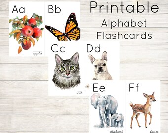 Early Learning Printable Seasons and Weather Activity Circle - Etsy