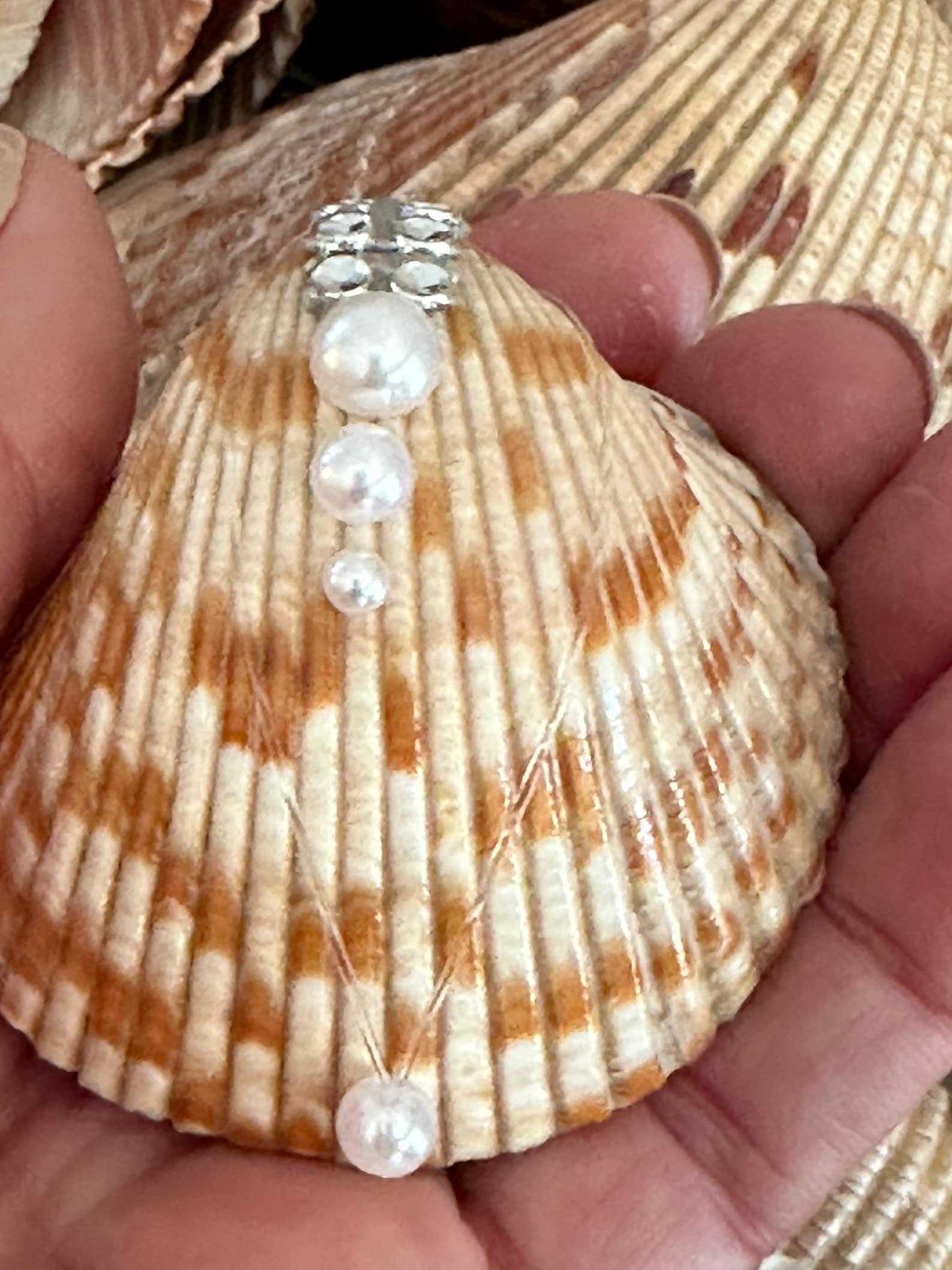 Proposal Seashell Ring Box Seashell Jewelry Box Engagement - Etsy