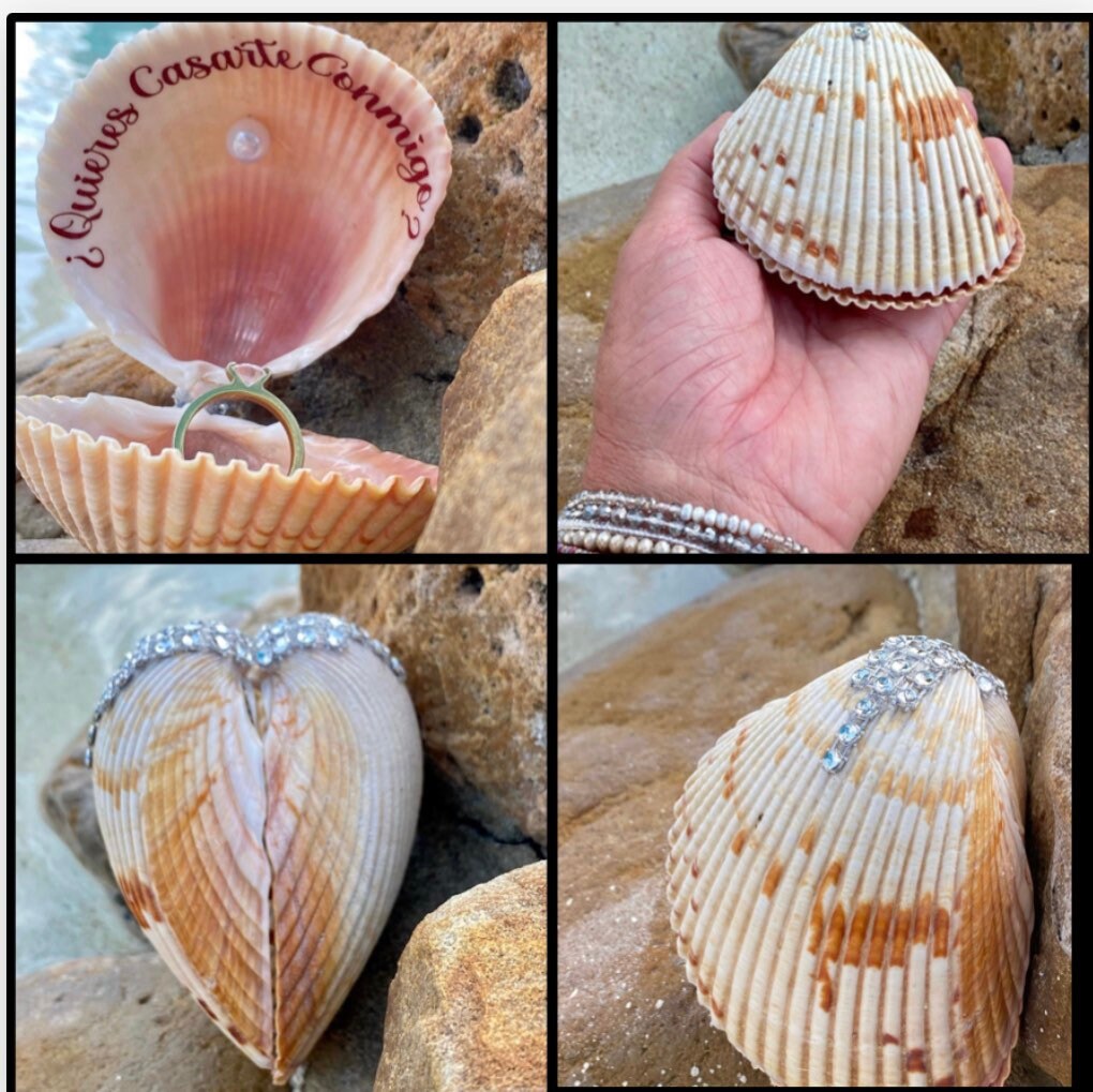 Proposal Seashell Ring Box,shell Engagement Ring Holder,beach Wedding ...