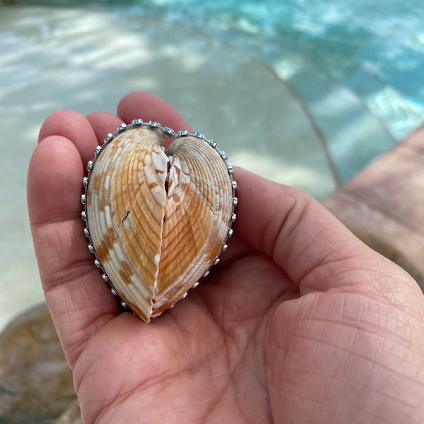 Shell Ring Box - Etsy