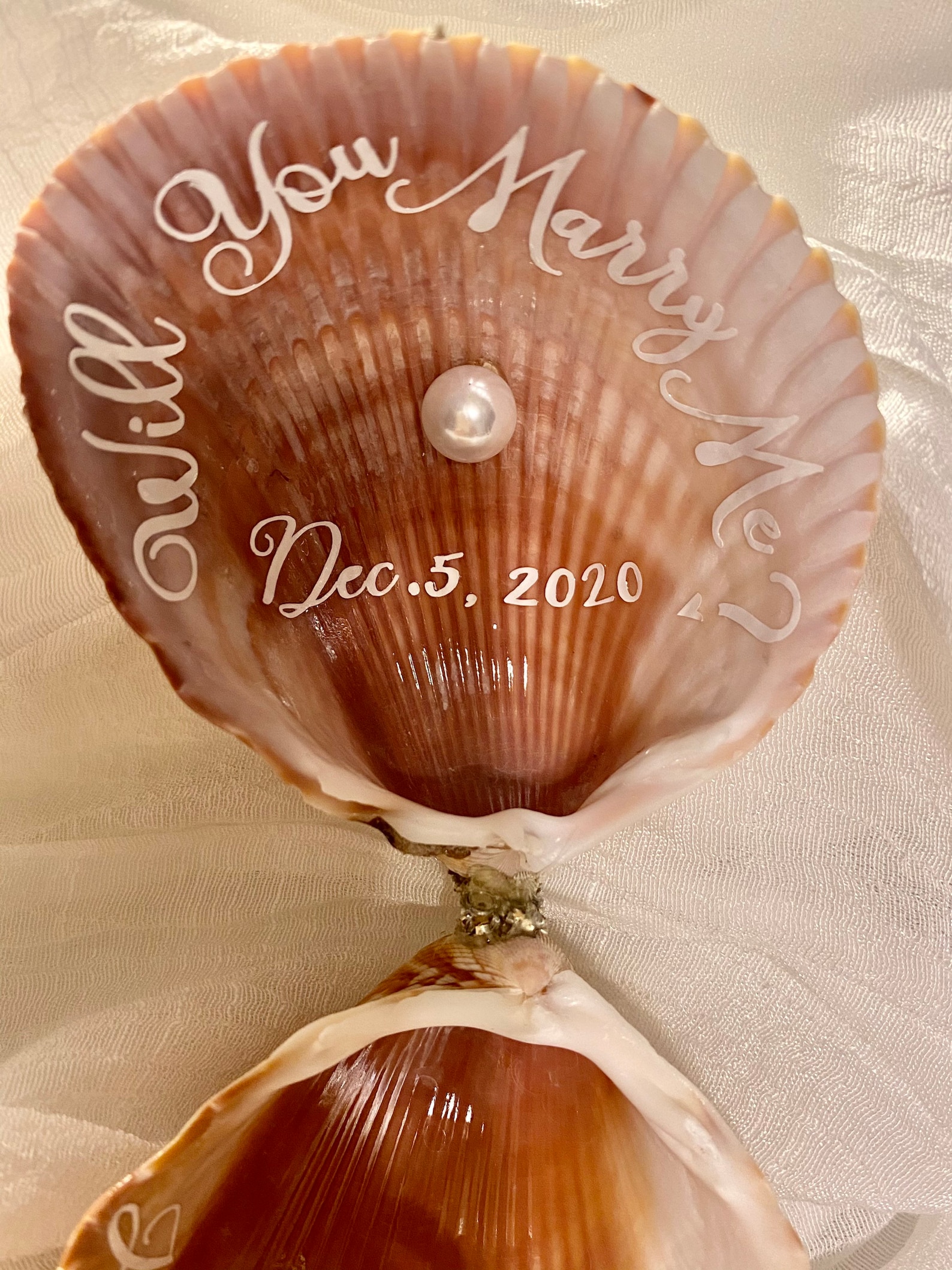 Proposal Seashell Ring Box, Seashell Engagement Ring Box, Beach Wedding ...