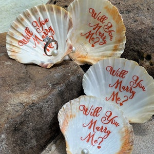 White Shell Proposal Ring Holder, White Seashell Ring Box, Proposal ...