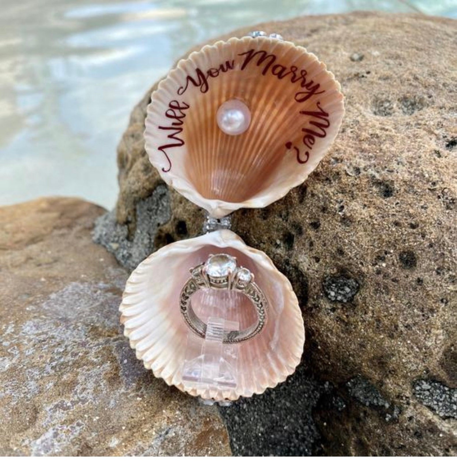 Proposal Seashell Ring Box/heart Shell Engagement Ring Box/will You ...