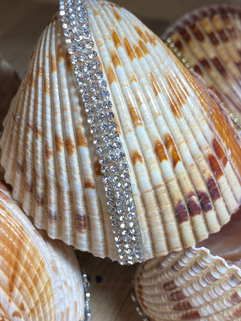 Proposal Seashell Ring Box/seashell Wedding Ring Box/shell Engagement ...
