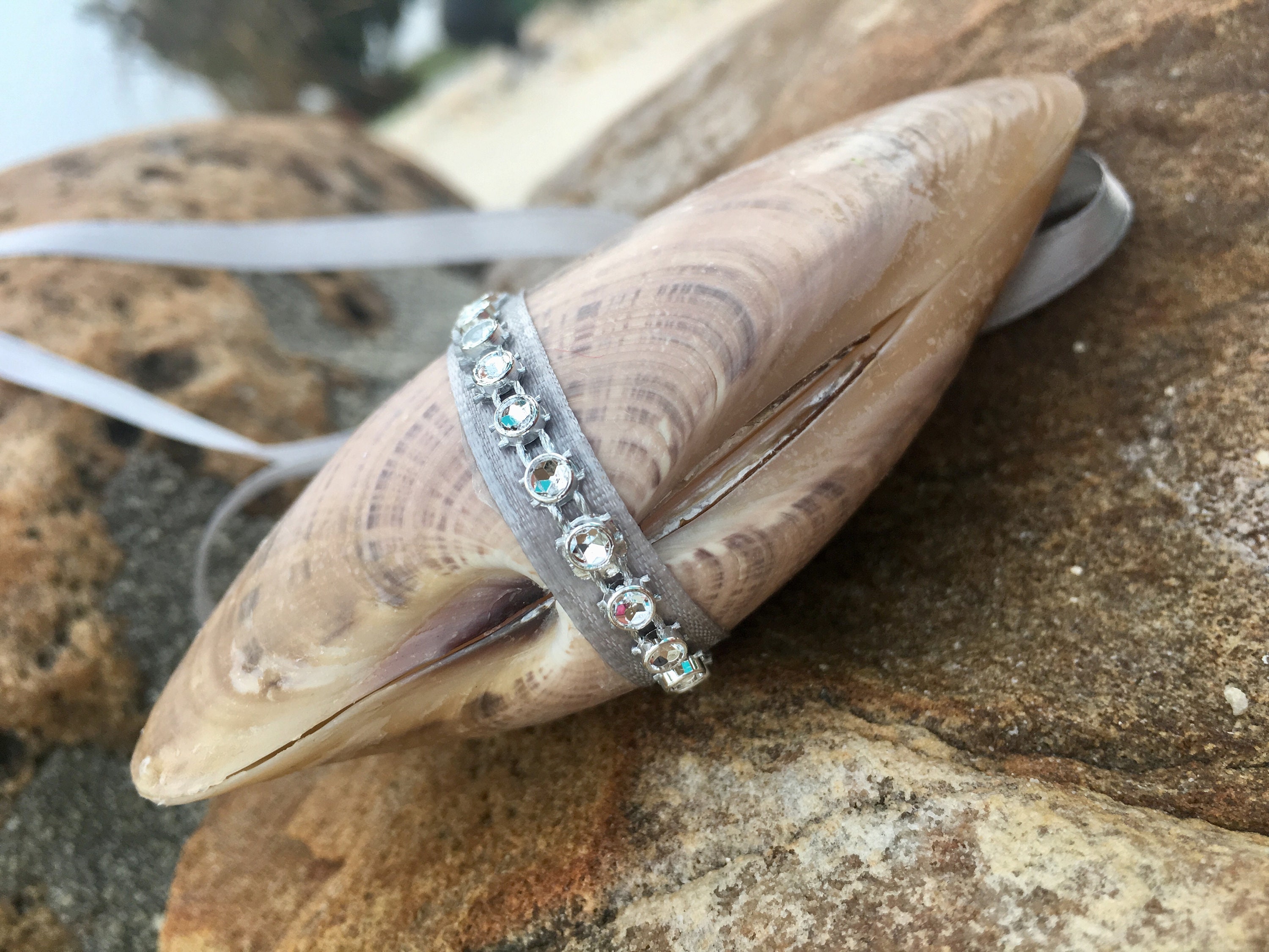 Beach Proposal Seashell/shell Engagement Ring Box/beach Wedding Ring ...