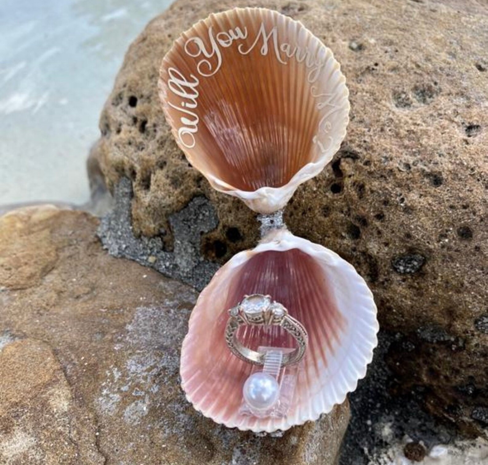 Proposal Seashell Ring Box/heart Shell Engagement Ring Box/will You ...