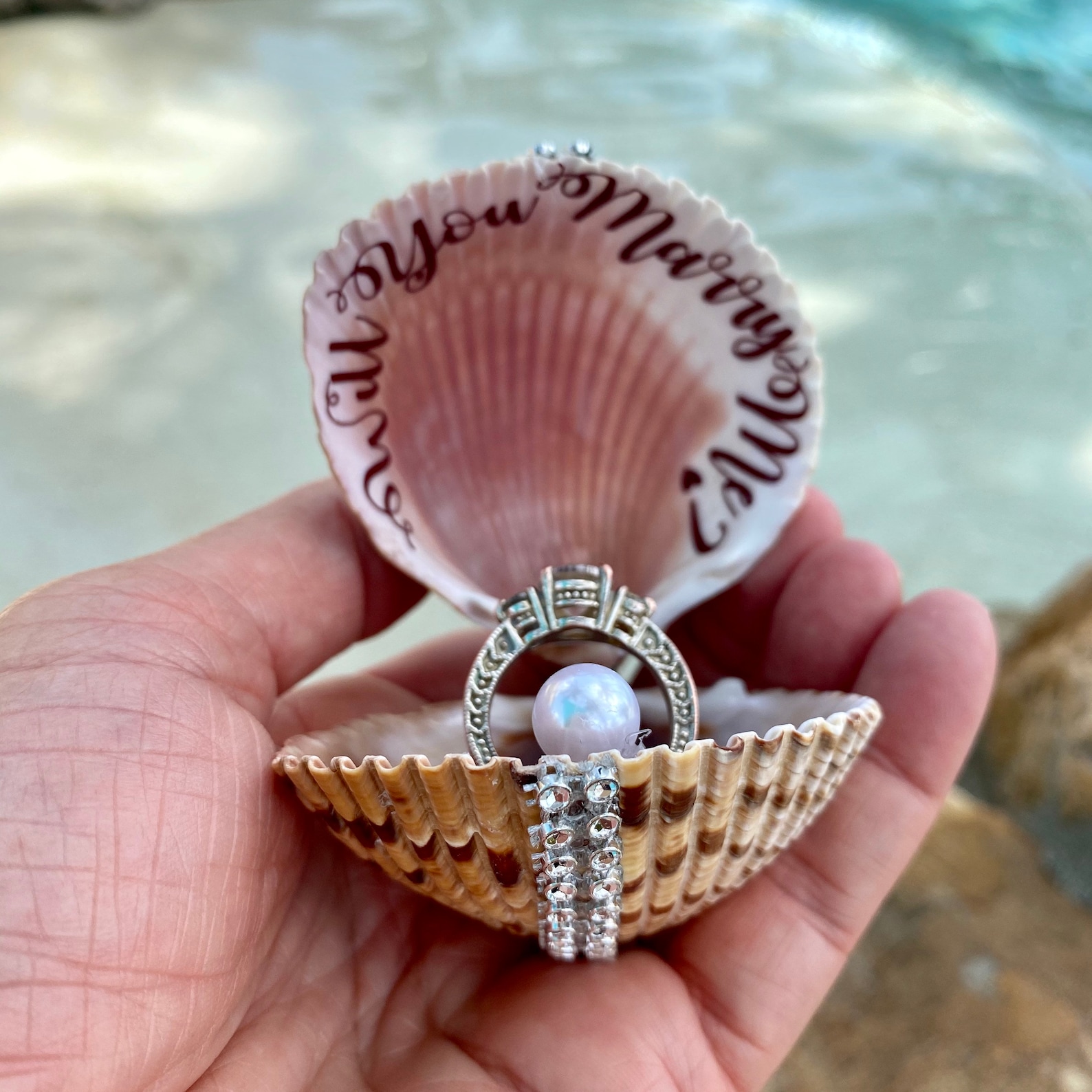 Proposal Seashell Ring Box/seashell Wedding Ring Box/shell - Etsy