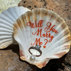 White Shell Proposal Ring Holder, White Seashell Ring Box, Proposal ...