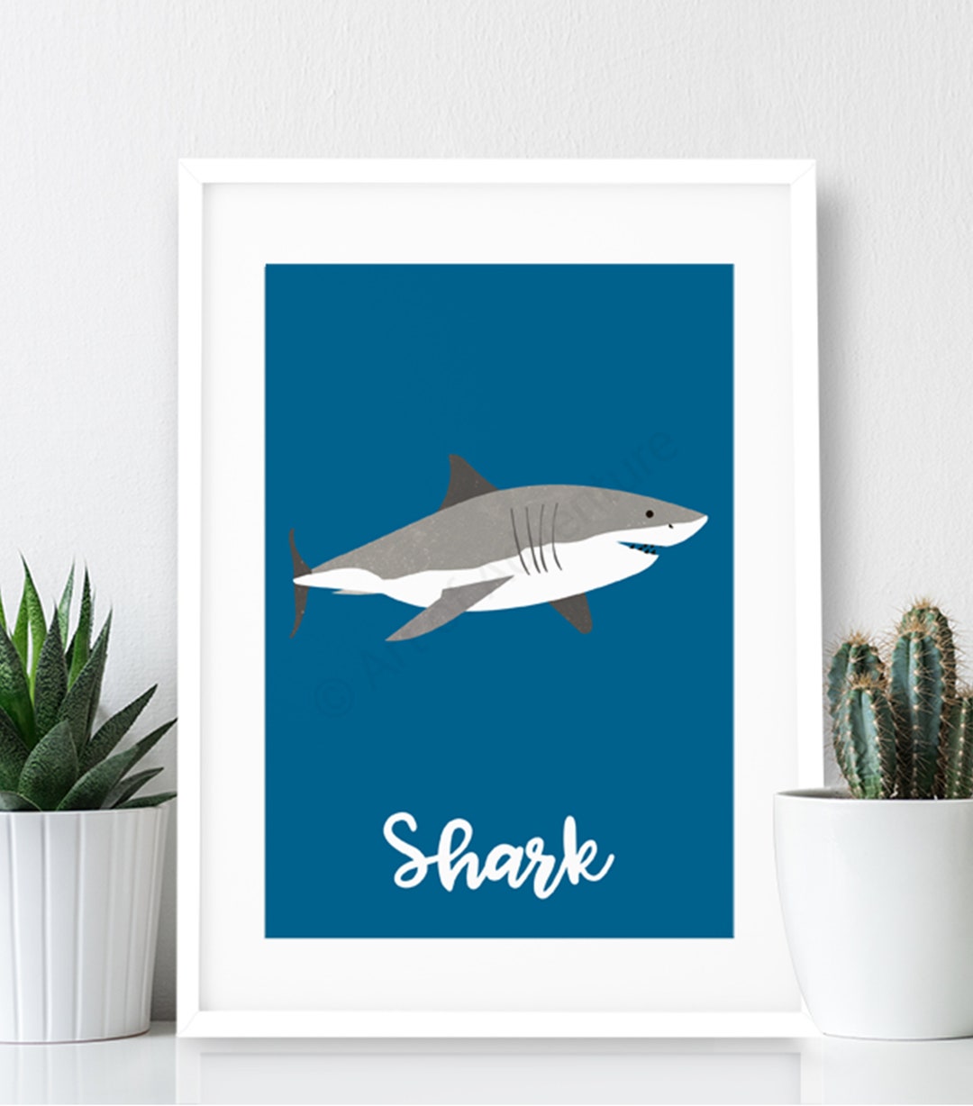 Shark Poster / A3 Print / Animal Print / Australian Wildlife - Etsy