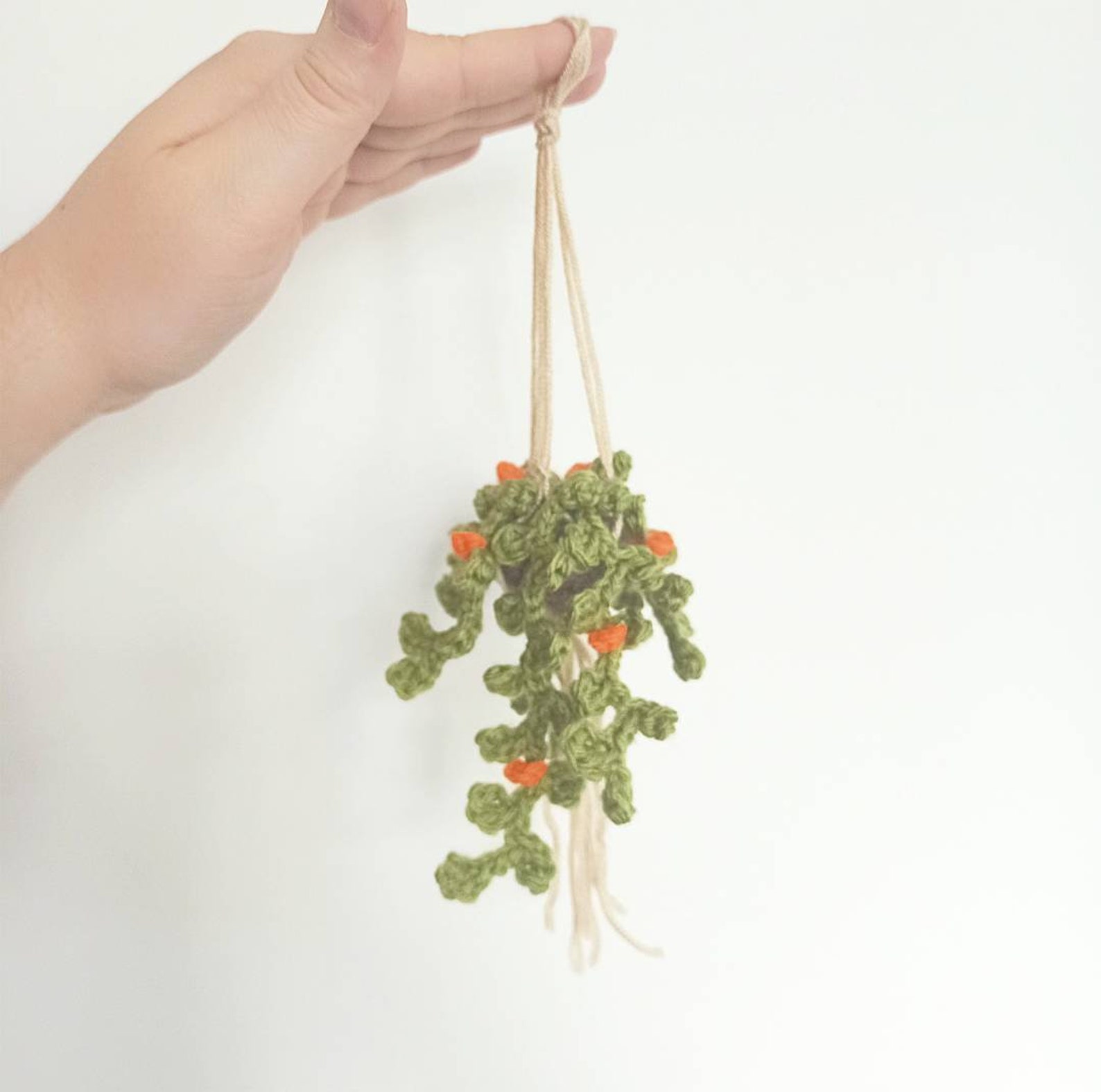 Mini Crochet Hanging Flower Planter - Cute Succulent Plant With Macrame ...
