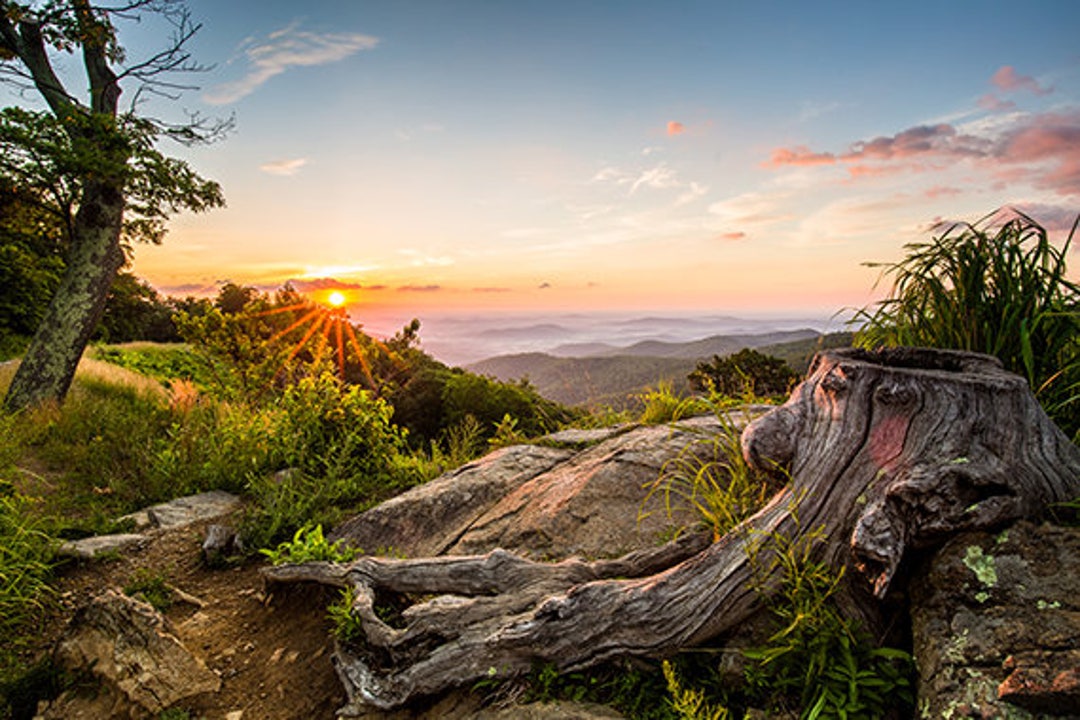 Shenandoah National Park, Virginia, Tree Trunk, Mountains, Nature ...