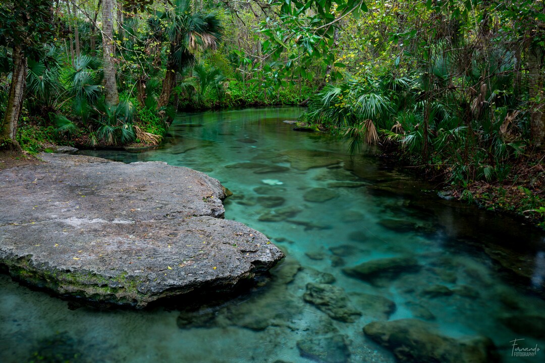Kelly Park, Rock Springs, Florida Photography, Water Scene, Nature ...