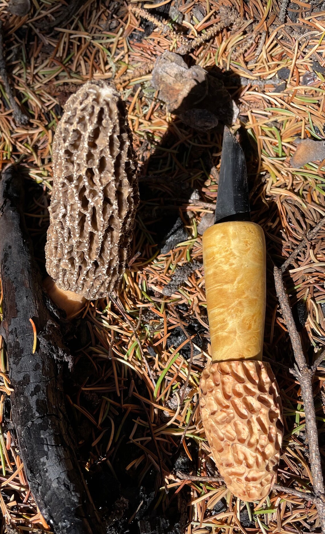 Handmade Mushroom Foraging Knife - Etsy