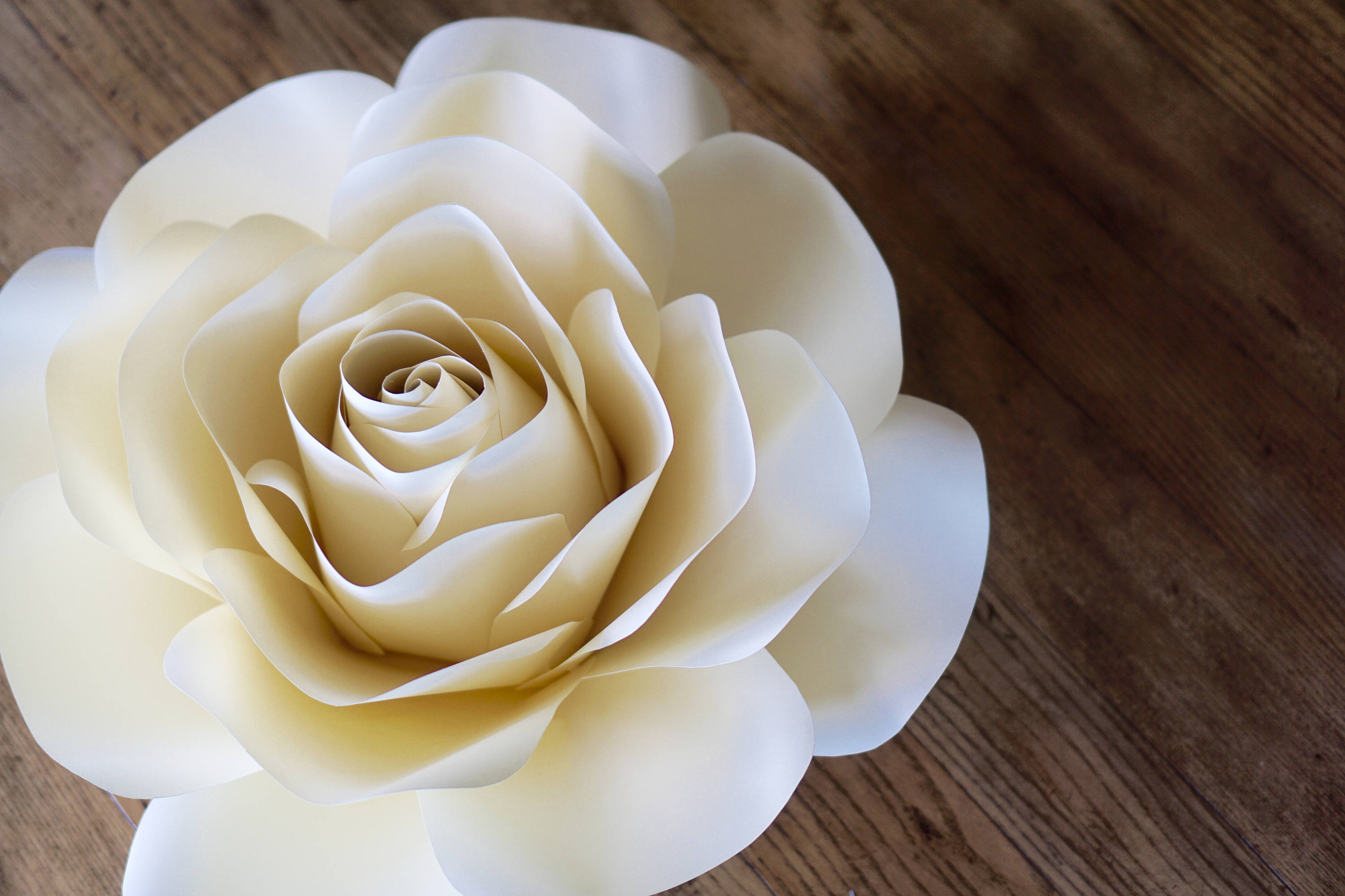 PDF Giant Rose Templatepro-tips Sophie B Décor - Etsy Canada