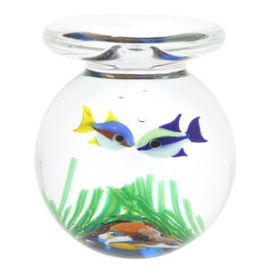 Glassofvenice Murano Glass Aquarium Jar With Two Tropical Fish - Etsy
