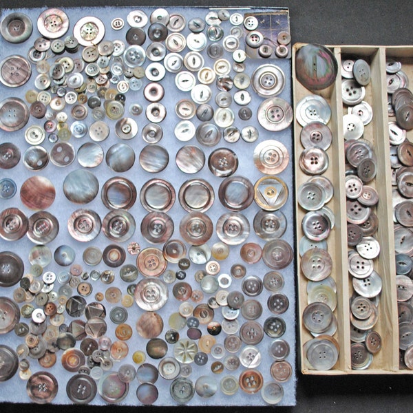 Shell Buttons - Etsy