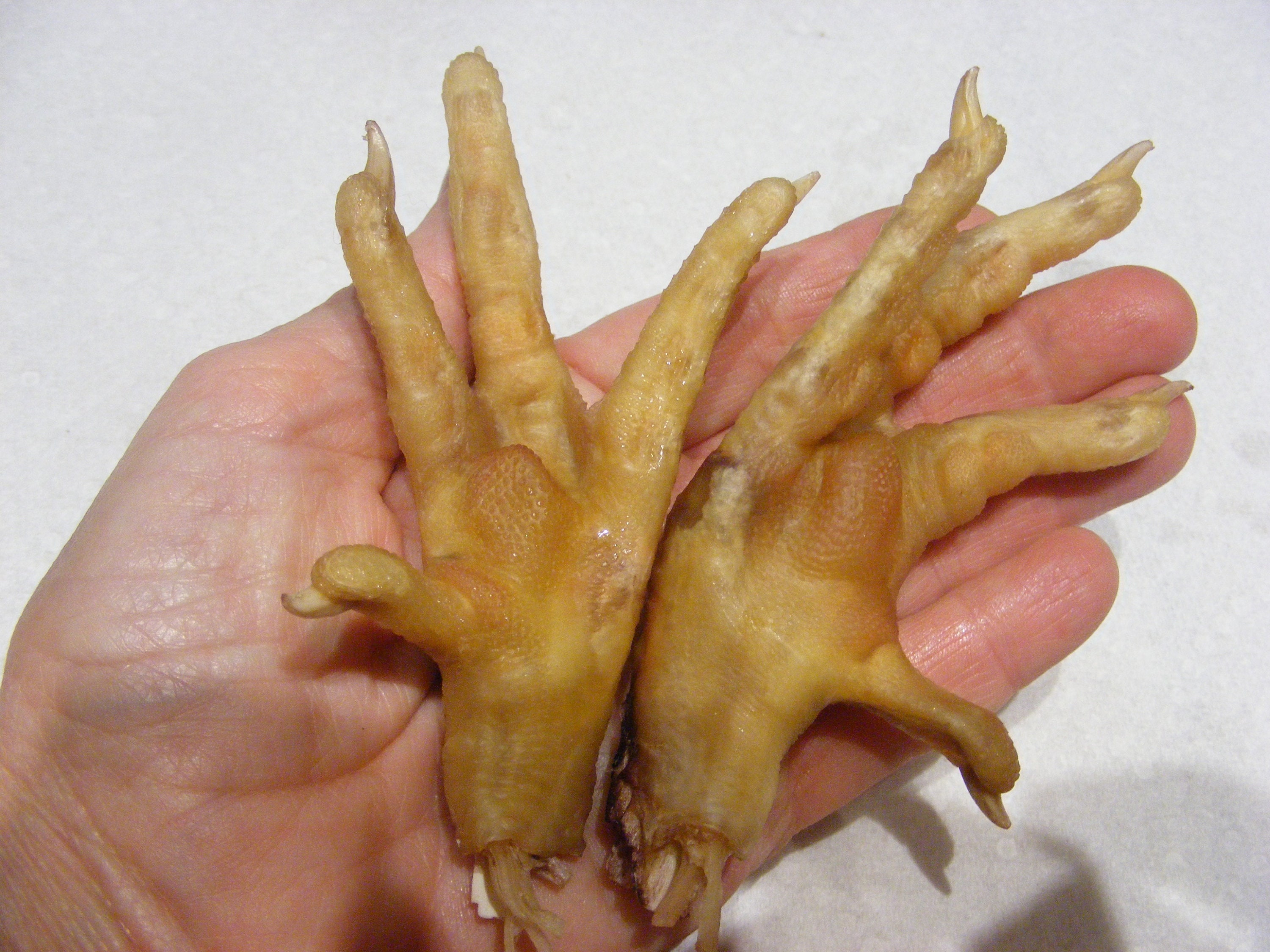 Chicken Feet Organic dehydrated raw NEVER pre-cooked | Etsy