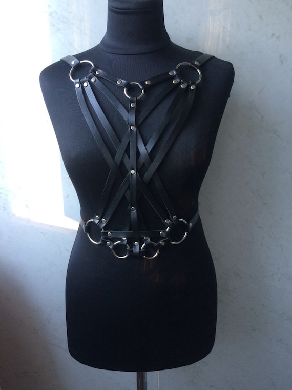 Two-side harnessharness with bucklesharness for the | Etsy