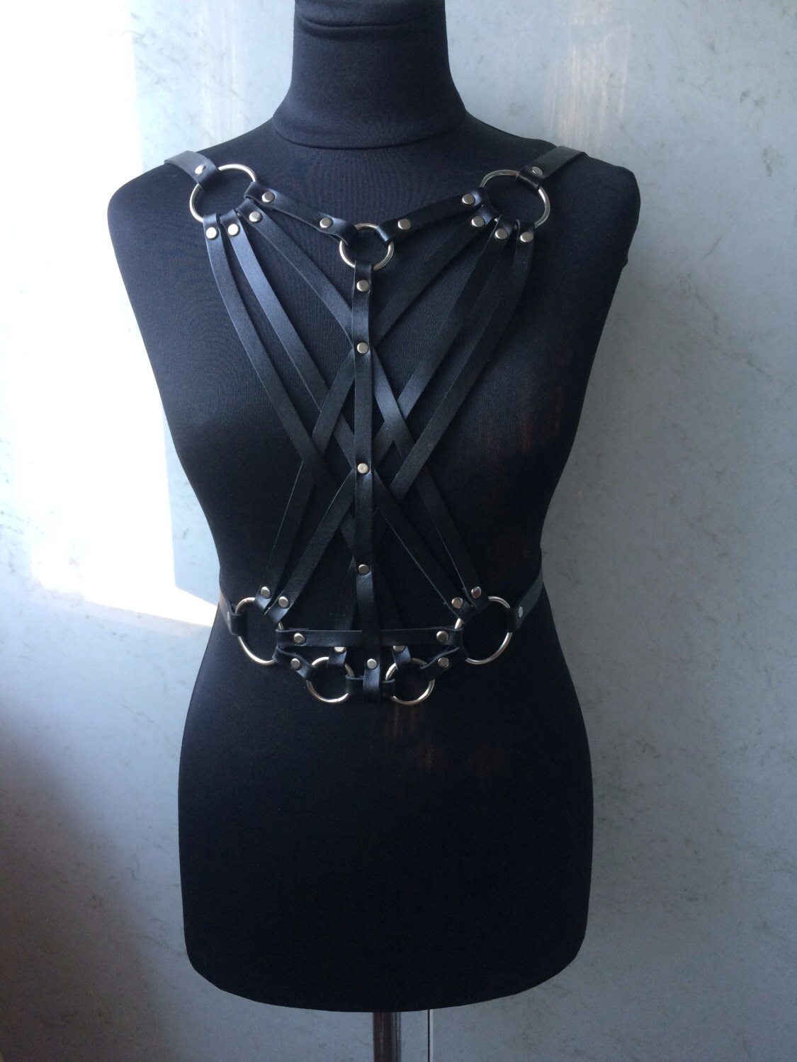 Two-side Harnessharness With Bucklesharness for the - Etsy UK