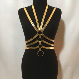 Fringe Dress,harness Transformer ,harness Fringe,harness for Dance - Etsy