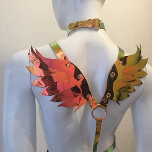 Angels Wings With Collar,angel Harness ,harness With Wings - Etsy