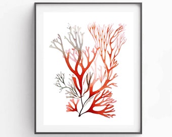 Red coral print | Etsy
