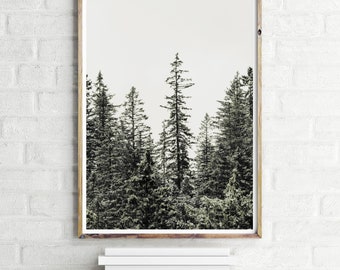 Pine tree print | Etsy