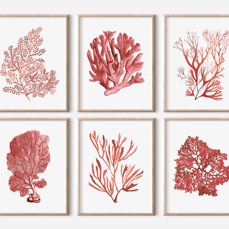 Red Coral Print - Etsy