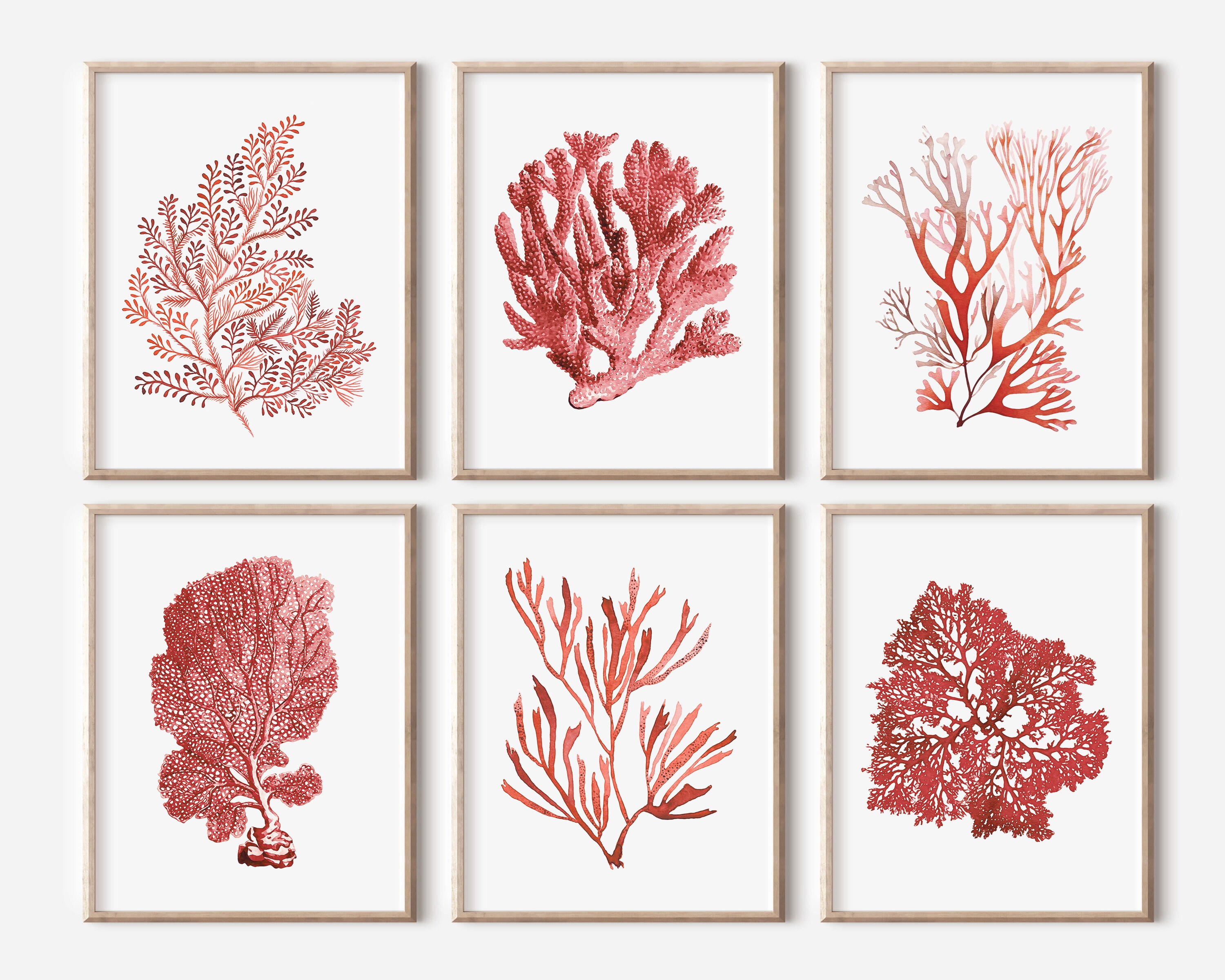 Red Coral Art