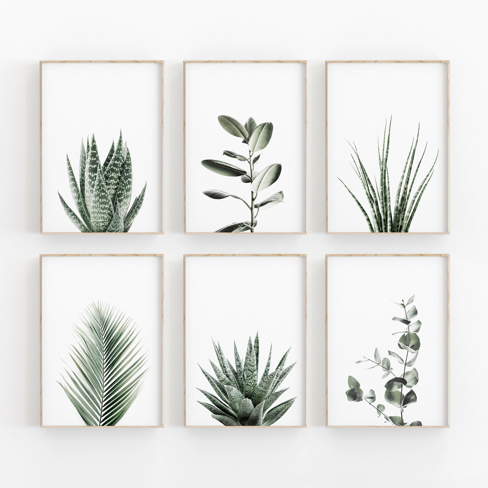 Botanical Print Set of 6 Nature Print Printable Art INSTANT - Etsy