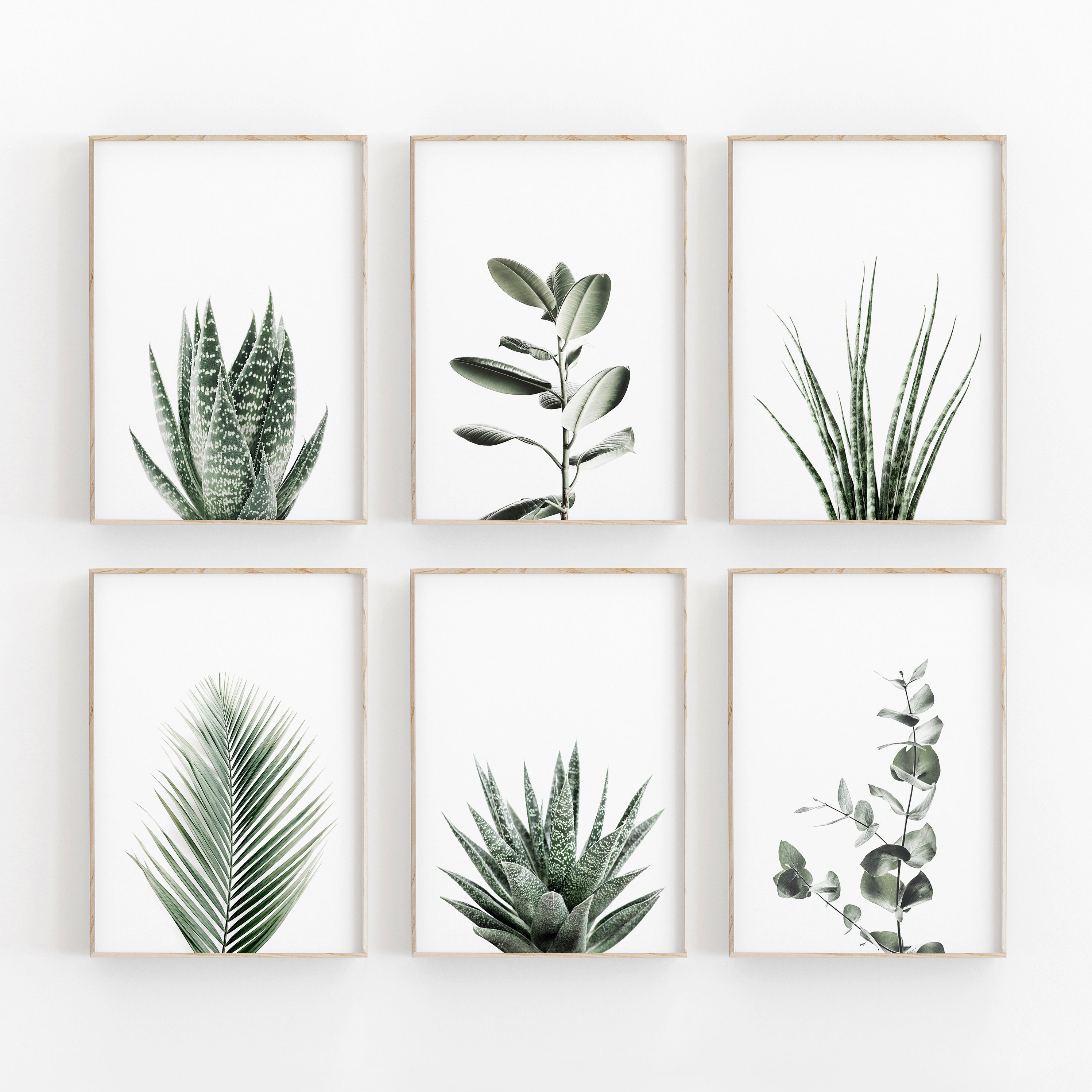 Botanical Print Set of 6 Nature Print Printable Art INSTANT - Etsy