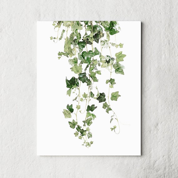Ivy Plant Print Instant Art INSTANT DOWNLOAD Printable | Etsy