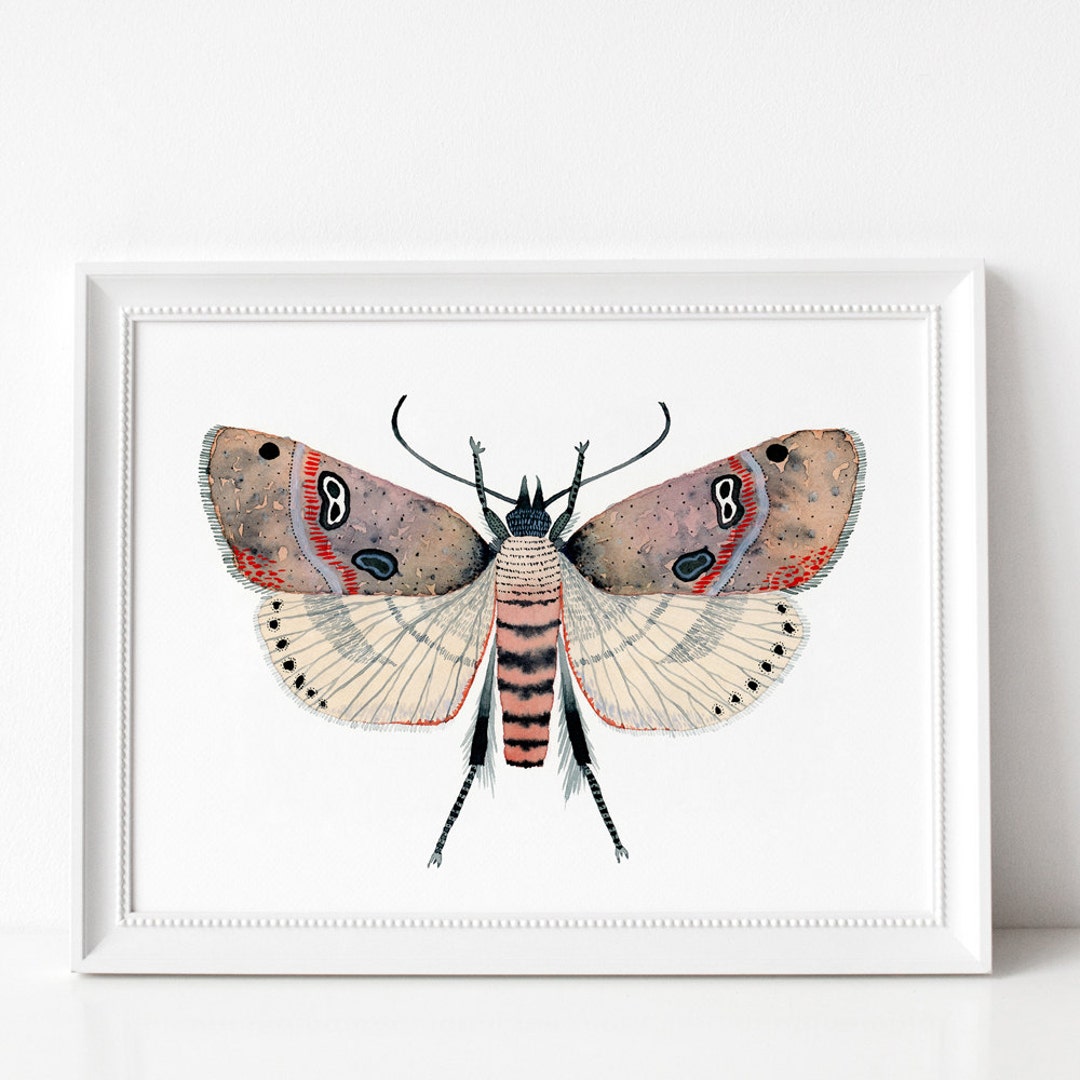 Moth Watercolour Digital Print Instant Art INSTANT DOWNLOAD Printable ...