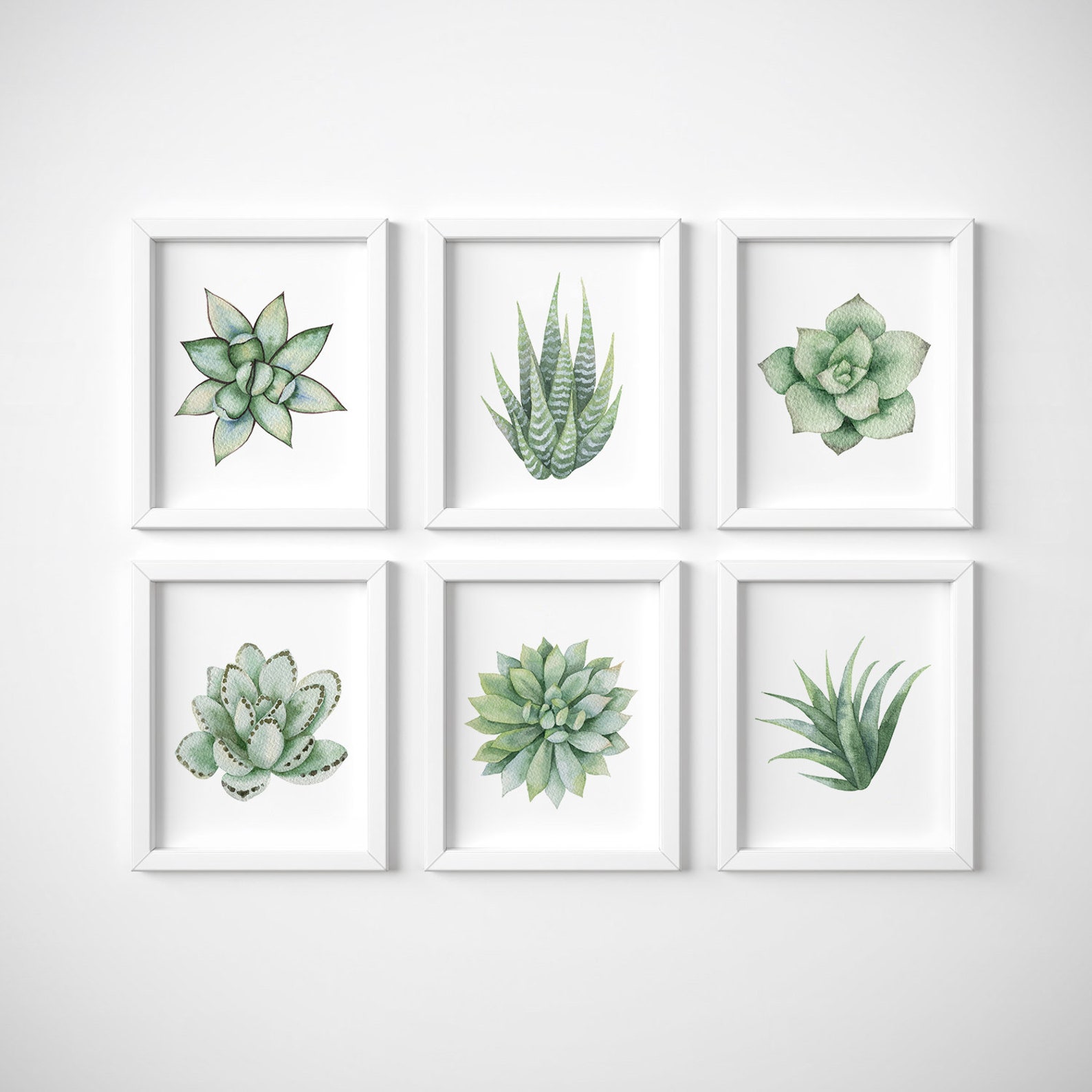 Set of 6 Succulents Watercolor Digital Print Instant Art | Etsy