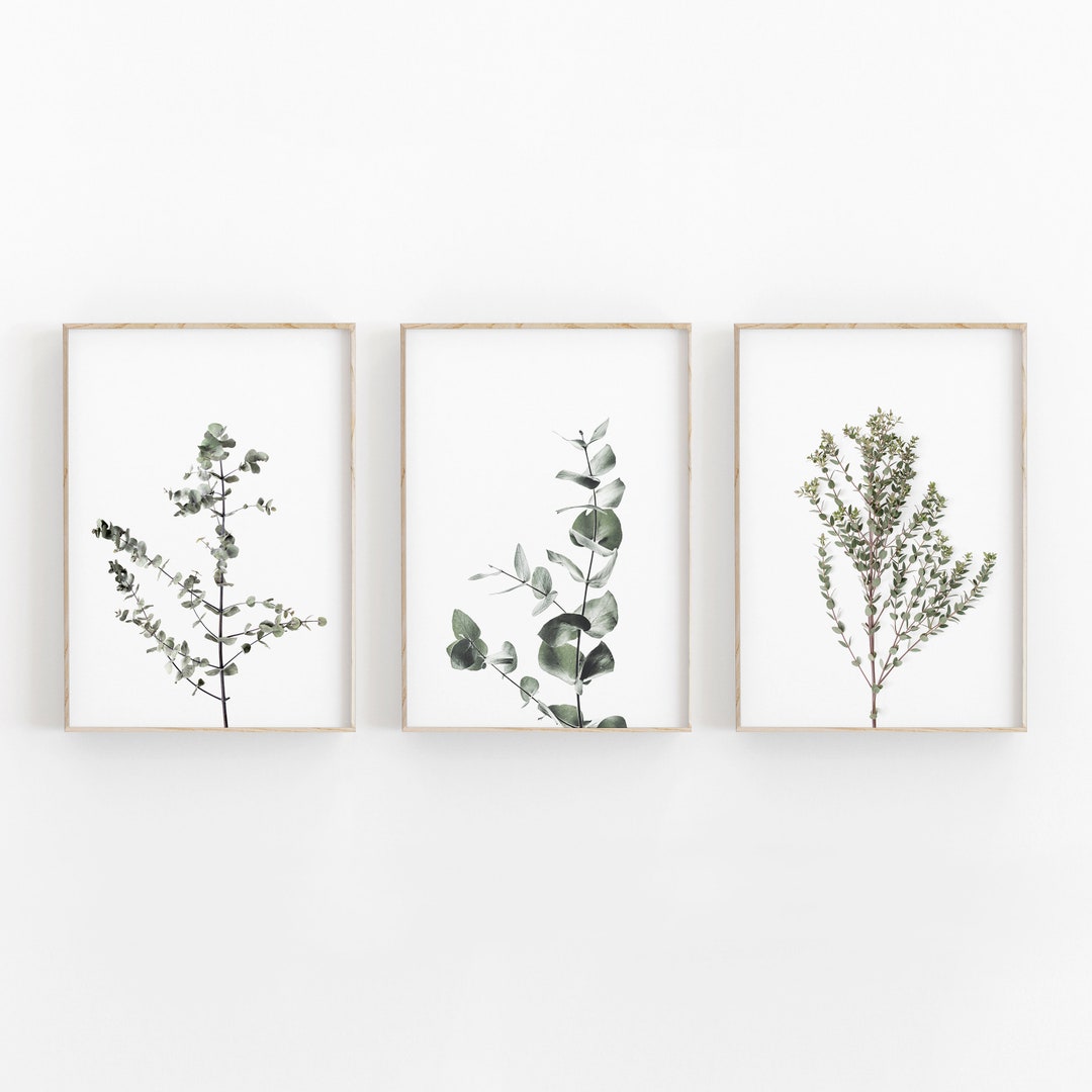 Eucalyptus Set of 3 Print, Instant Art INSTANT DOWNLOAD Printable Wall ...