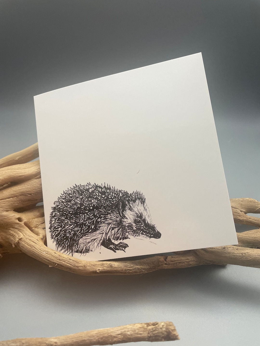 Hedgehog, Greeting Card, Pen & Ink Drawing, Print of Original Drawing ...