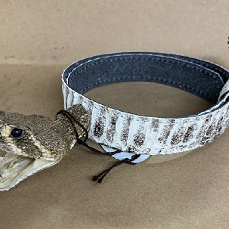 Rattlesnake Hat Band - Etsy