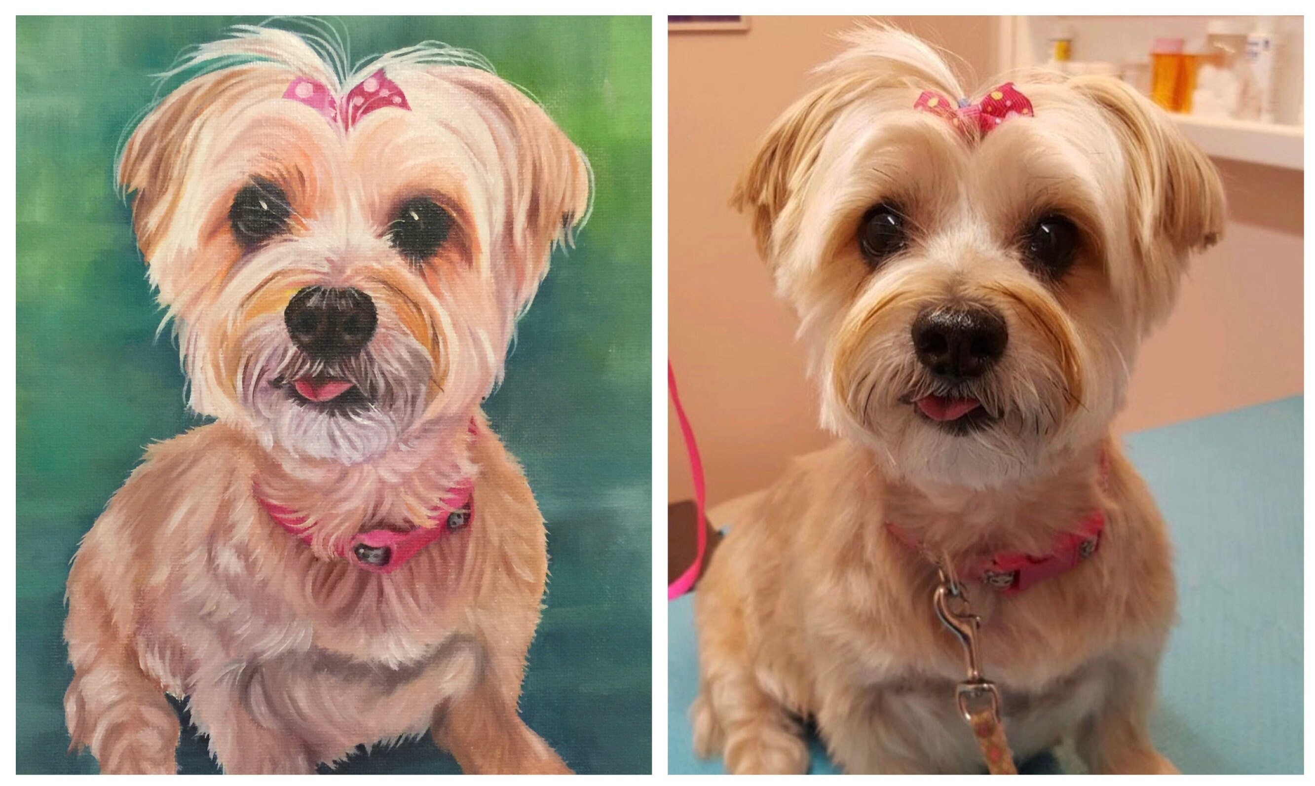 Pintura personalizada de perros retratos de perros | Etsy