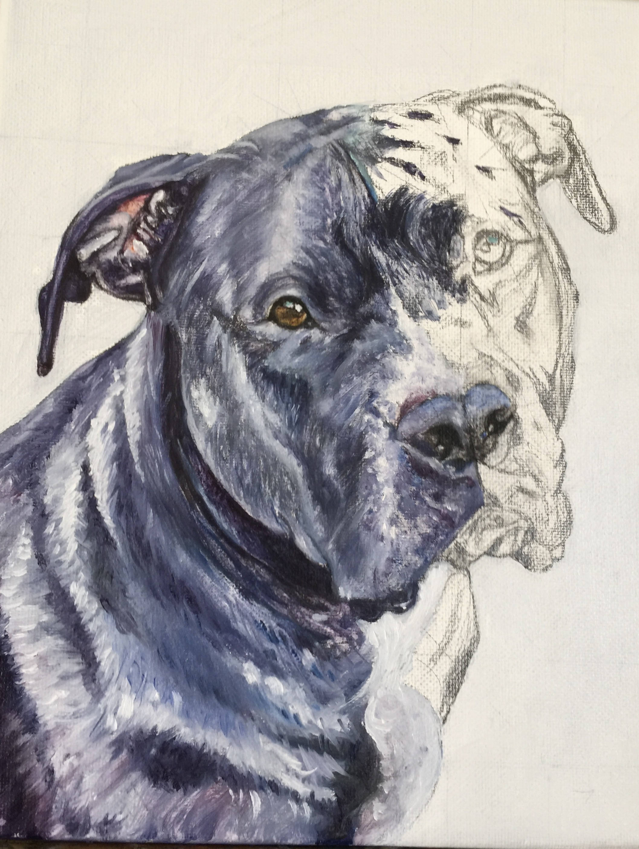 Custom Dog Painting Custom Animal Painting Custom Pet - Etsy