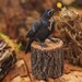 Miniature Black Raven W/ Secret Key for Halloween ~ Fairy Garden ...