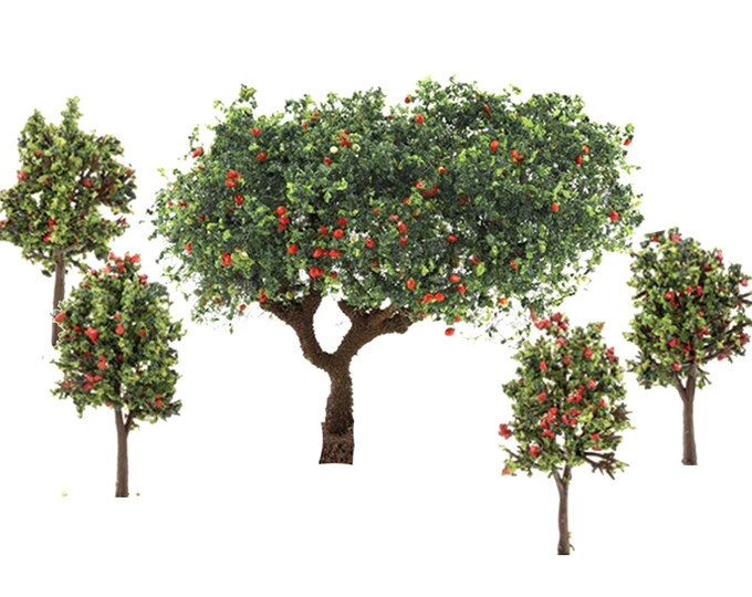 Miniature Apple Orchard Trees ~ Fairy Garden, Terrarium & Dollhouse ...