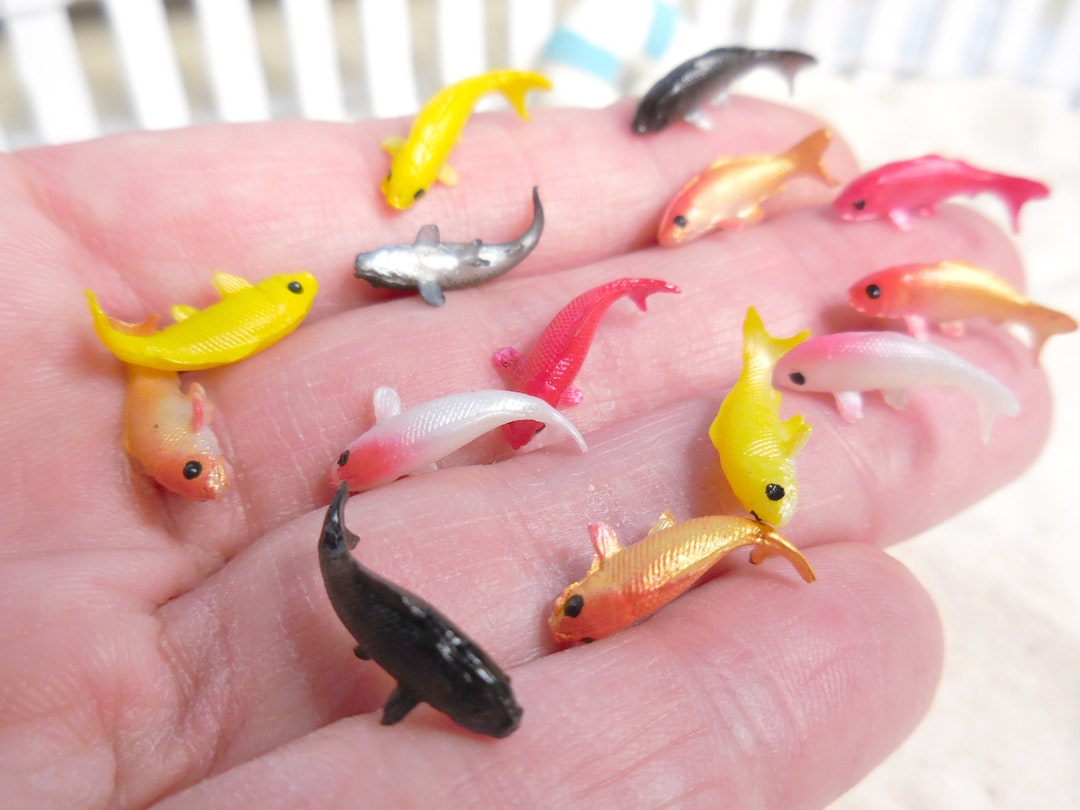 17mm Micro Miniature Pond Koi Fish, Assorted Colors ~ Beach Fairy ...