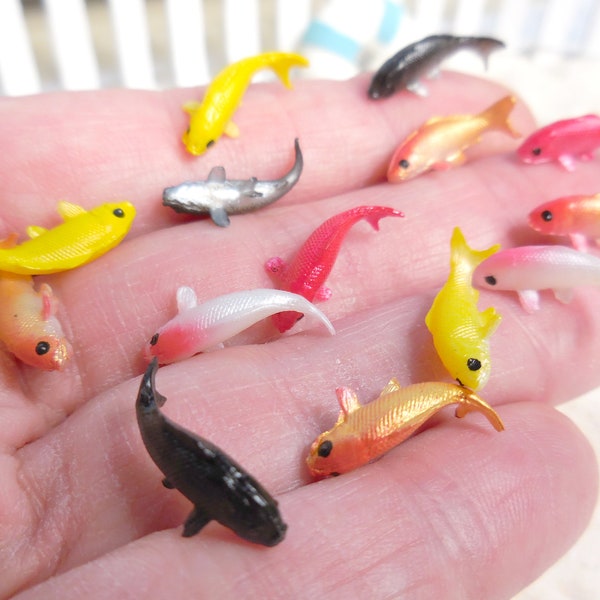Miniature Koi Fish - Etsy